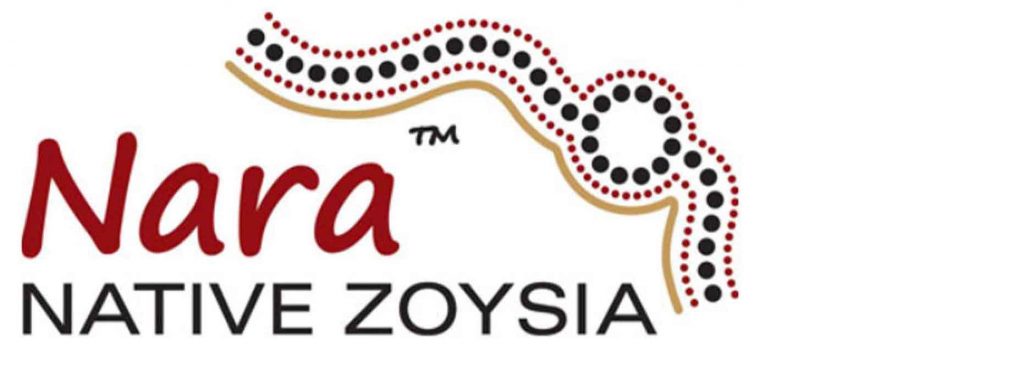 NARA™ Native Zoysia Grass Supplier - Great Northern Turf